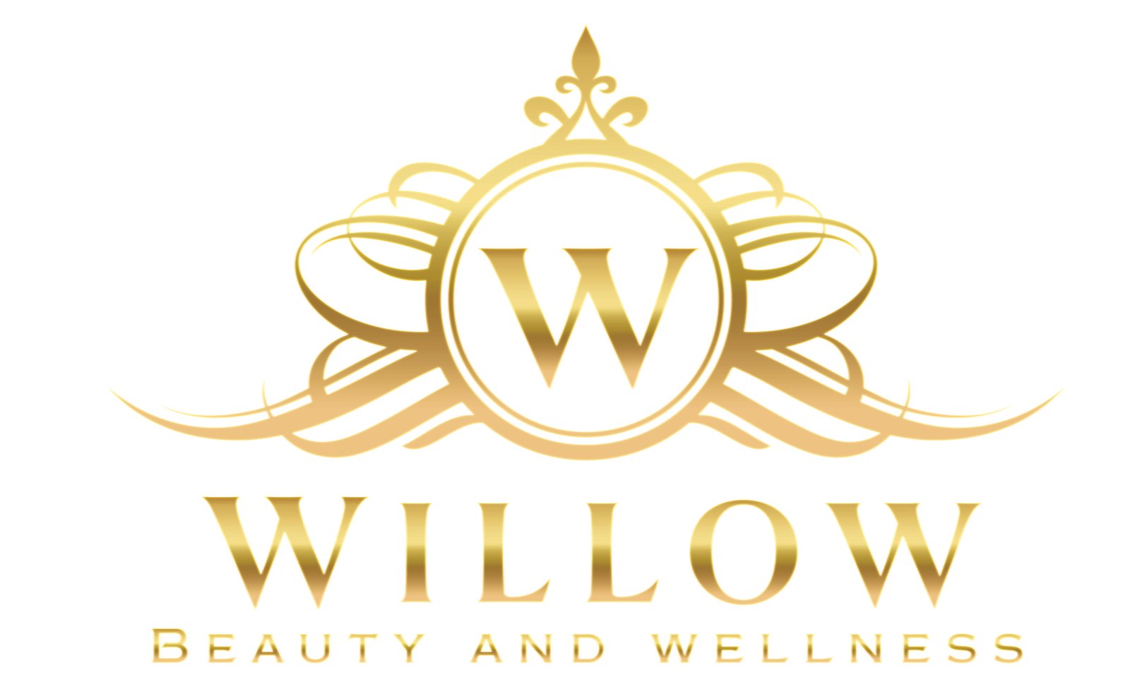 Willow Tv Logo